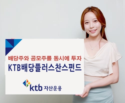 KTB자산운용, 'KTB배당플러스찬스펀드' 출시 - 머니S