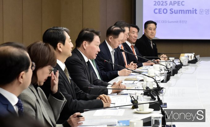 [머니S픽] 삼성·SK·현대차 등 "APEC 협력" APEC CEO서밋 추진위 - 머니S